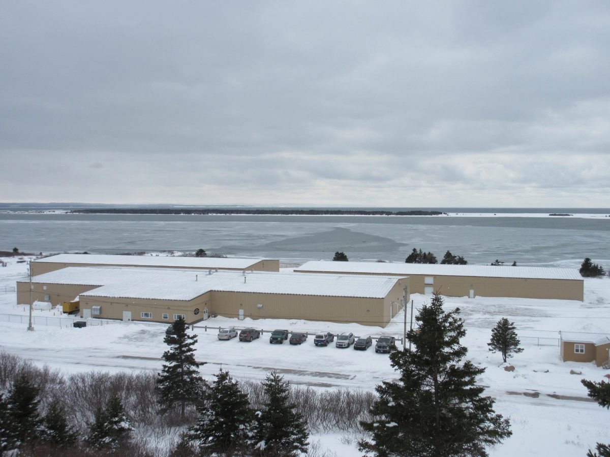 Company Photos - Mowi Canada East Atlantic Salmon Farming