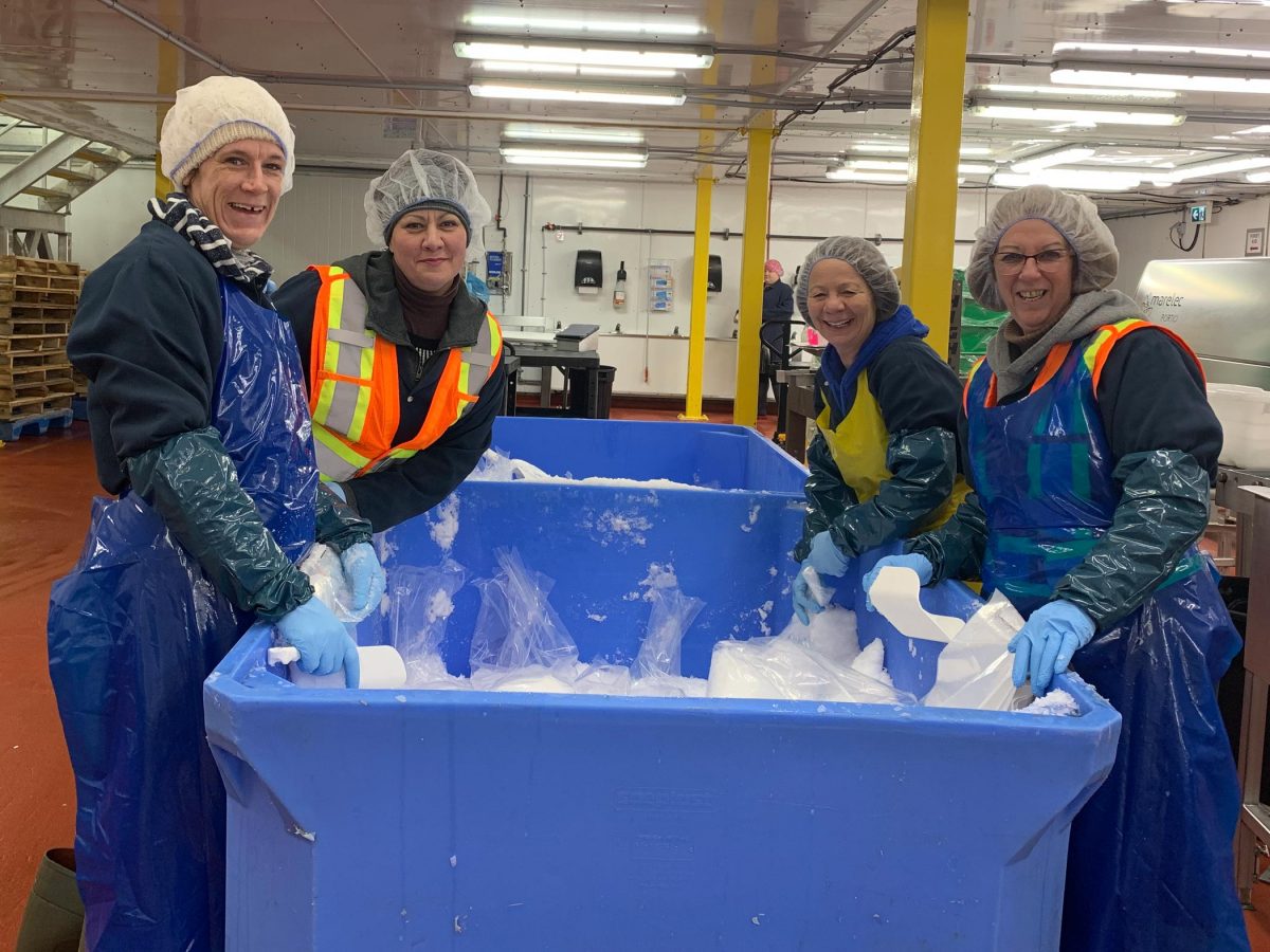 Company Photos - Mowi Canada East Atlantic Salmon Farming