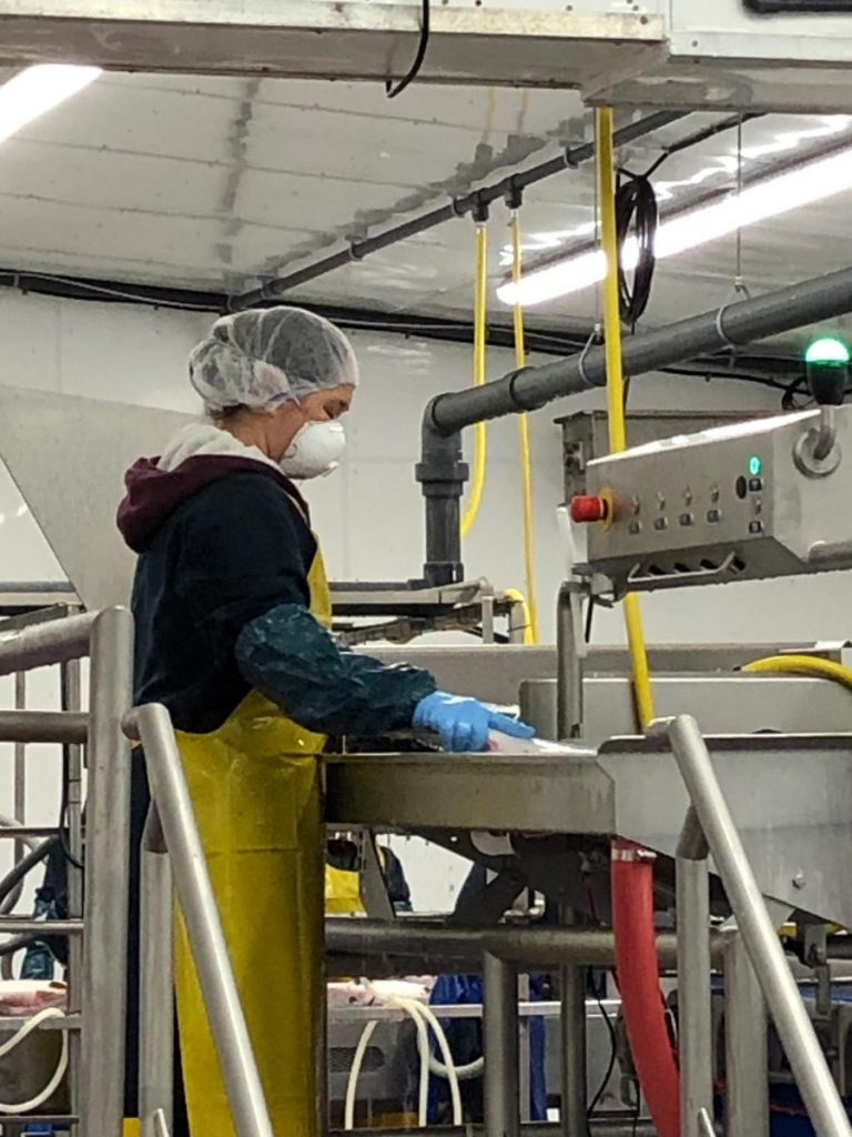Company Photos - Mowi Canada East Atlantic Salmon Farming
