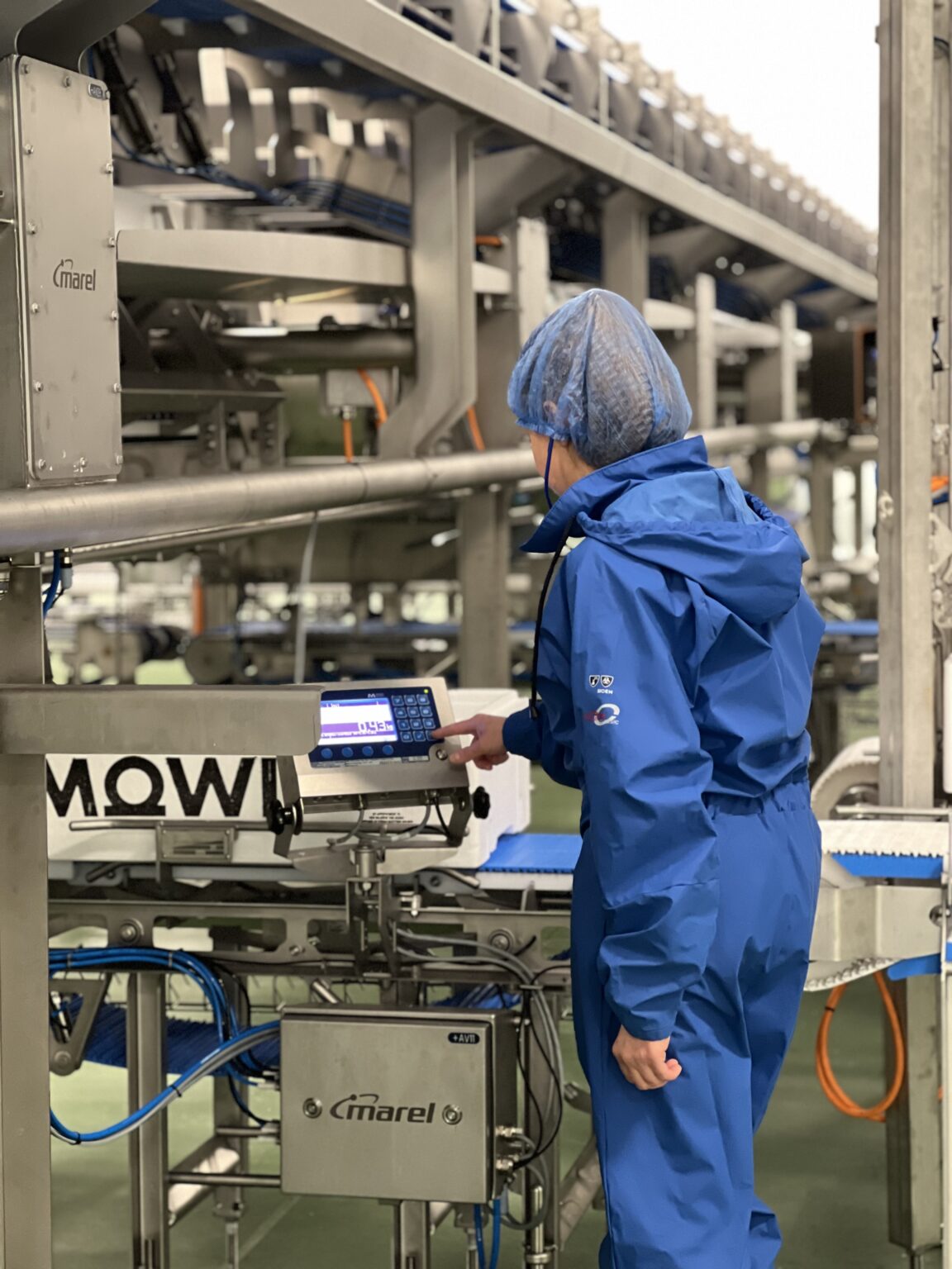 Latest tech now installed at Mowi’s Scottish salmon processing plant ...