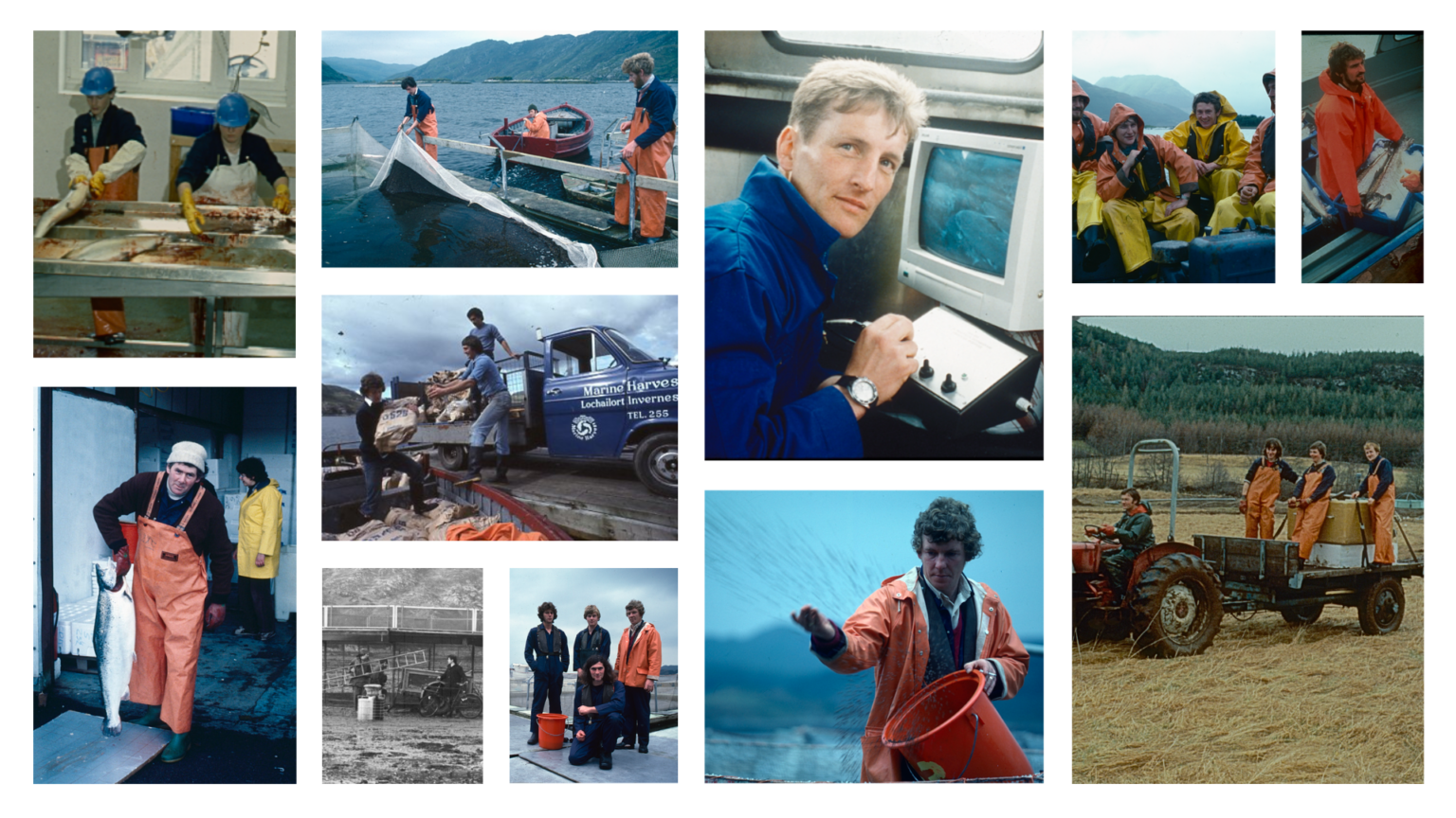 Mowi Scotland marks 60 years of raising salmon - MOWI - Scotland