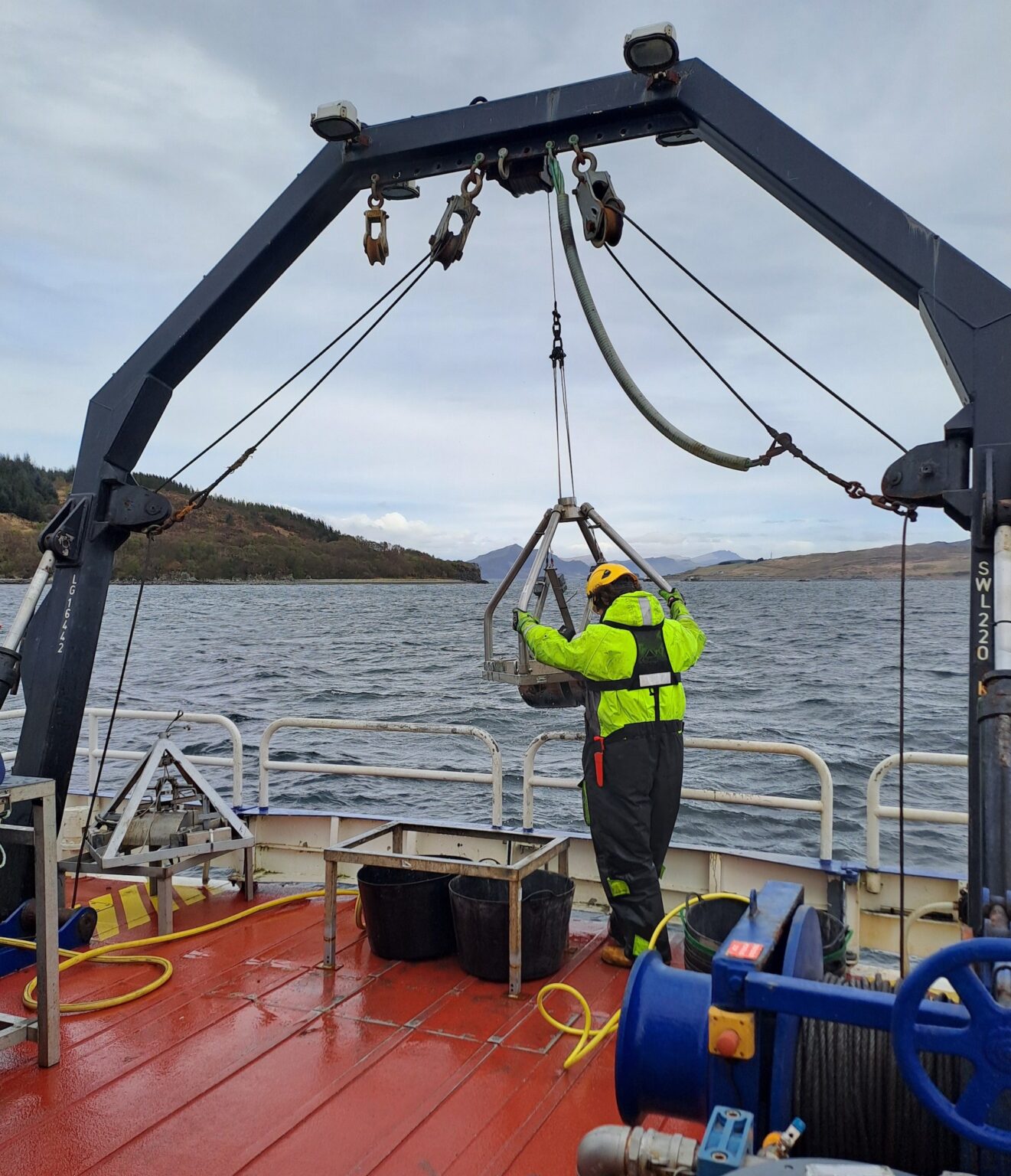 Mowi enters partnership with Benthic Solutions Ltd for dedicated ...